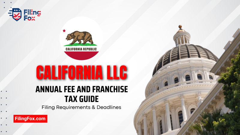 California LLC Annual Fee and Franchise Tax Guide: Filing Requir