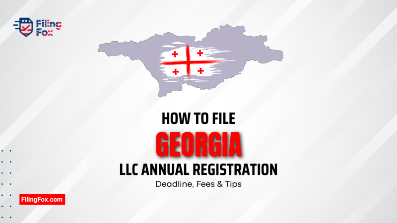 How to File Georgia LLC Annual Registration: Deadline, Fees 