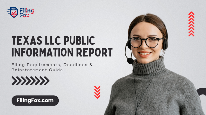 Texas LLC Public Information Report: Filing Requirements, Deadli