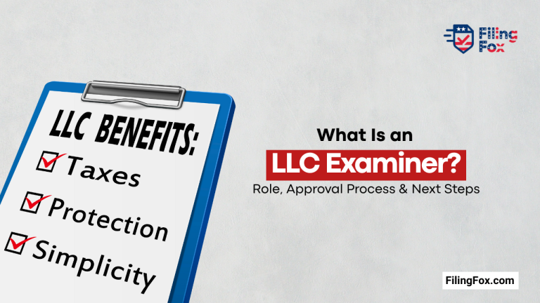 What Is an LLC Examiner? Role, Approval Process & Next Step